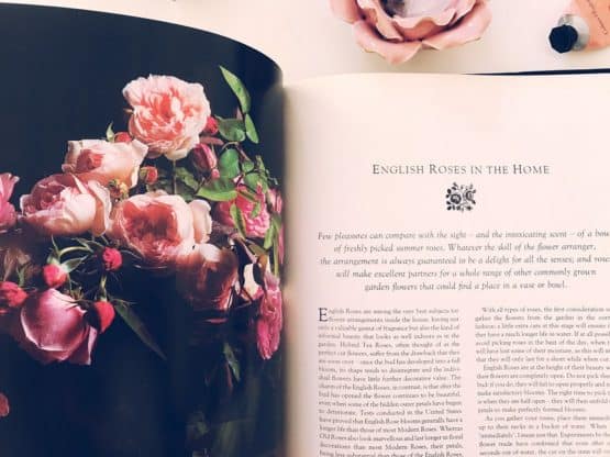 David Austin's English Roses - A Beautiful Book Review