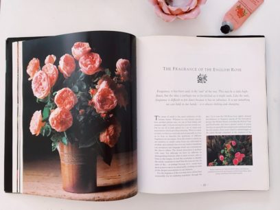 David Austin's English Roses - A Beautiful Book Review