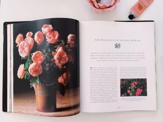 David Austin's English Roses - A Beautiful Book Review