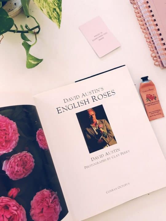 David Austin's English Roses - A Beautiful Book Review