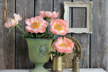 75 Creative Household Items To Use As Planters - That You'll Actually Use!