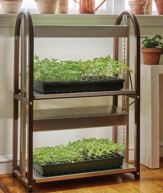 How Much Light Do Microgreens Need? - A Prettier Petal