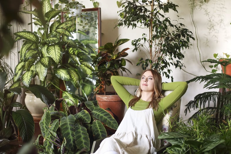 7 Types Of Fast Growing Indoor Plants To Make Your Home Greener A 7 Types Of Fast Growing Indoor Plants To Make Your Home Greener A