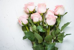 How Long Do Roses Last? (Plus Tips To Keep Them Fresher!) - A Prettier ...