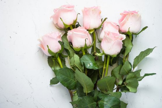 How Long Do Roses Last? (Plus Tips To Keep Them Fresher!) - A Prettier ...